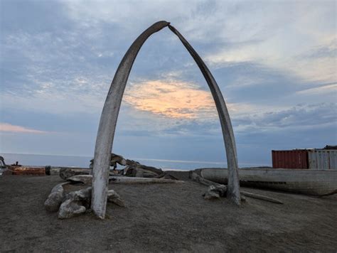 24 Hours In Utqiagvik Formerly Barrow Ak Polar Plunge Eating Whale