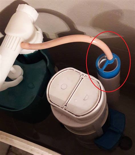 How Does A Toilet Overflow Work At Annabelle Morris Blog