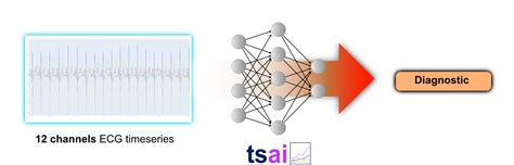 Time Series Classification On Weights And Biases With Tsai Physionet Challenge Weights And Biases