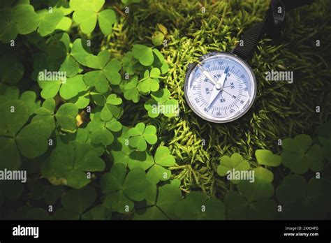 Close Up Handmade Wooden Compass Tree Shadows On Green Nature Grass Ground Holiday Adventure