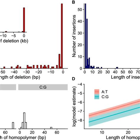 Mutation Rates Mutationsgenomemitosis For Deletions And Insertions