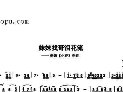 妹妹找哥泪花流 凯传 王酩 歌谱 简谱