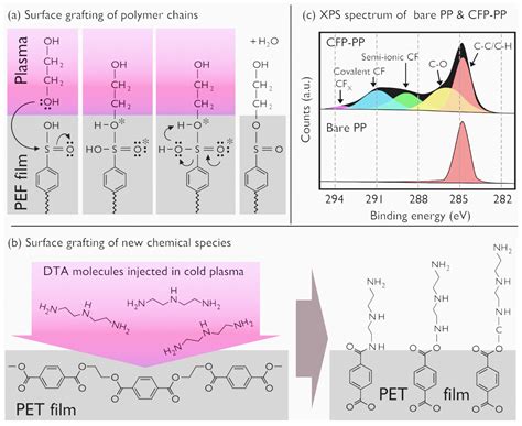 Polymers Free Full Text From Basics To Frontiers A Comprehensive