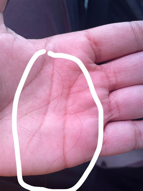 Please Help Me In Identifying My Hair Type Rhair