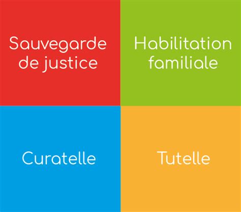 Les Mesures De Protection Dun Majeur Action Information Recherche Air