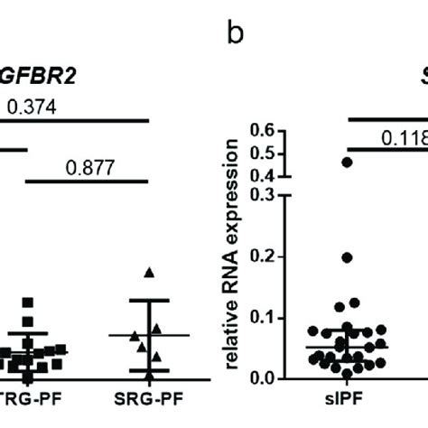 Relative Rna Expression In Lung Tissue Of Sporadic Ipf Sipf Patients Download Scientific