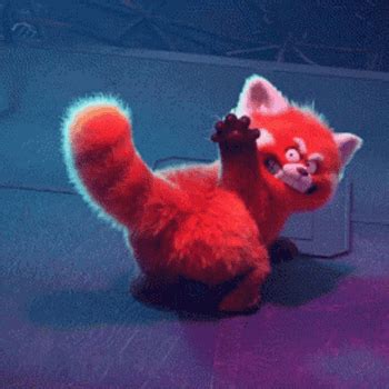 Red Panda S Cute And Funny S Of Red Pandas