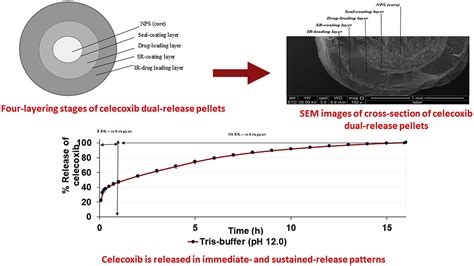 Development Of Dual Release Pellets Of The Non Steroidal Anti Inflammatory Drug Celecoxib