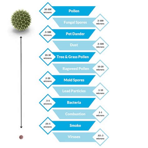 Particle Sizes What Is Your Hepa Filter Catching And Missing Field