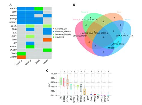 Mutated Genes And Gene Mutation Types Of Inguinal Lymph Node Tissue Download Scientific