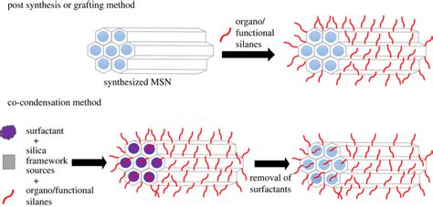 Schematic Representation Of Surface Functionalization Methods