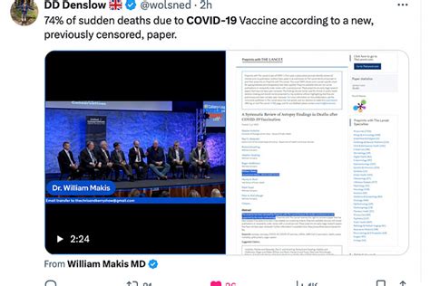 The Truth Barrier Celia Farber Substack The Truth Barrier Celia Farber Substack