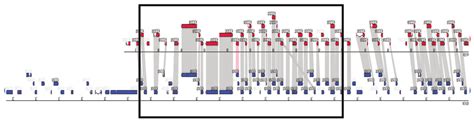 Comparison Of Aflatoxin Pathway Gene Cluster Region Between A Flavus Download Scientific Diagram