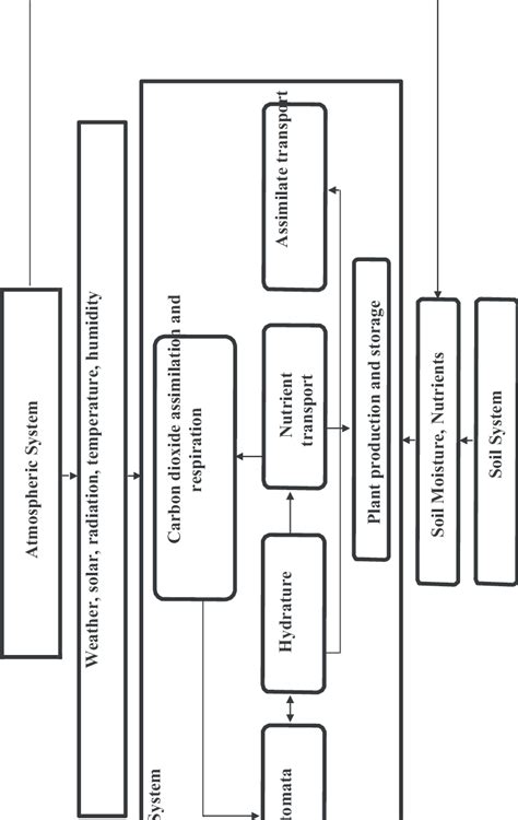 2 Simple Example For A Simulation Model Download Scientific Diagram