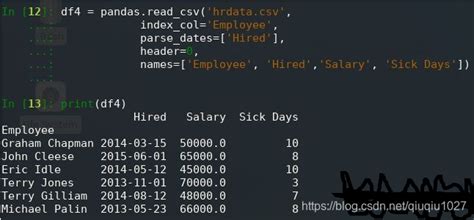 Python Pandas 解析（读取、写入） Csv 文件qiuqiu1027的博客 Csdn博客pandas写入csv