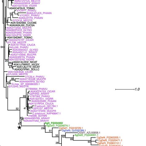 Phylogeny Of Datisca Glomerata Defensin Like Peptides Download Scientific Diagram