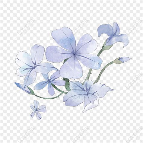 파란 꽃 일러스트푸른수채화 Png 일러스트 무료 다운로드 Lovepik