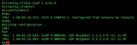 Mpls Ldp Router Id Loopback0 Force Rogers Ccie Blog
