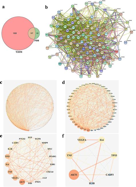 Pdb T2dm Intersecting Targets And Ppi Network Analysis A Venn