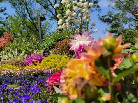 小程序开发系列，音频播放 知乎