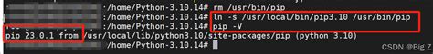 Ubuntu Python310 安装教程，并更新python，pip默认指向为python310 Pip3（超详细教程）ubuntu安装python310 Csdn博客