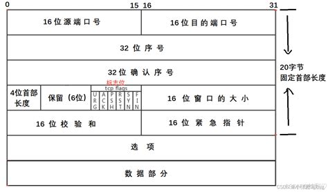 Tcp协议tcp报文长度 Csdn博客
