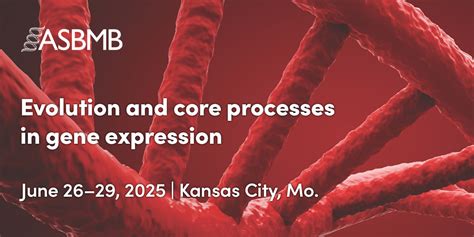 Evolution And Core Processes In Gene Expression