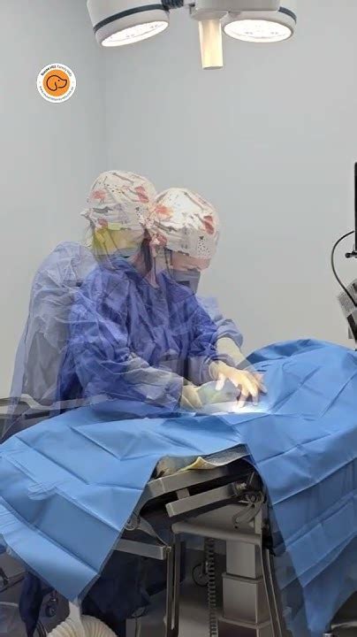 Surgical Prep For Intestinal Biopsy Youtube