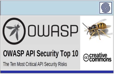 owasp api security top 10 the ten most critical api security risks by