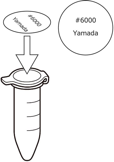 Pacbio Transcriptome Analysis Kinnex Full Length Rna Signac Single Cell Genome Information