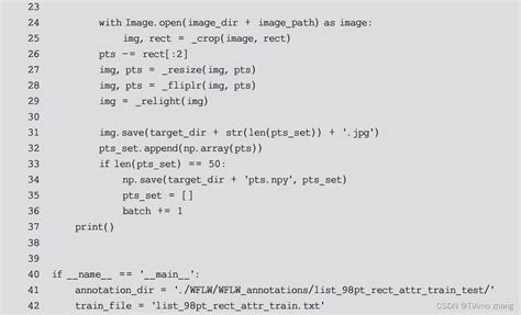 Pytorch深度学习实战 基于resnet的人脸关键点检测 阿里云开发者社区