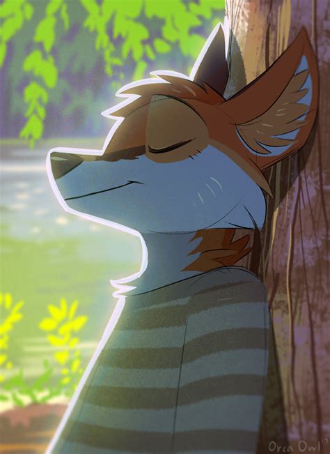 Tree Nap By OrcaOwl R Furry