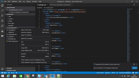 Xml Package To Retrieve Metadata From Org Salesforce Diaries