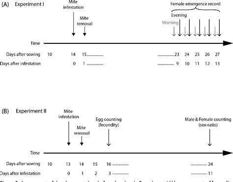 Figure 2 From Can Intraspecific Variation In A Herbivorous Mite Alter
