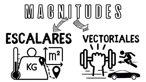 Diferencia Entre Magnitud Escalar Y Vectorial ⇢ Definición Y Ejemplos Youtube