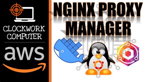 Aws Nginx Proxy Manager