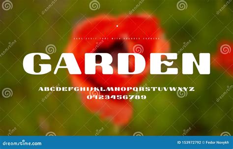 Stock Vector Extended Sans Serif Font With Rounded Corners Stock Vector Illustration Of