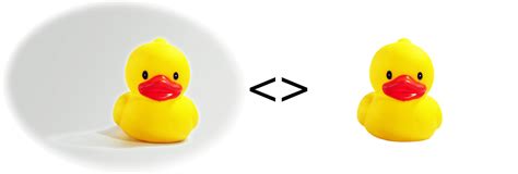 Cleaning Data With Sql — Trim Your White Space By Leah Erb Women