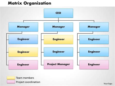 Matrix Organization Powerpoint Presentation Slide Template PPT Images Gallery PowerPoint