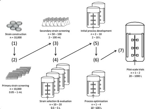 Scheme Of An Exemplary Bioprocess Development Chain This Scheme