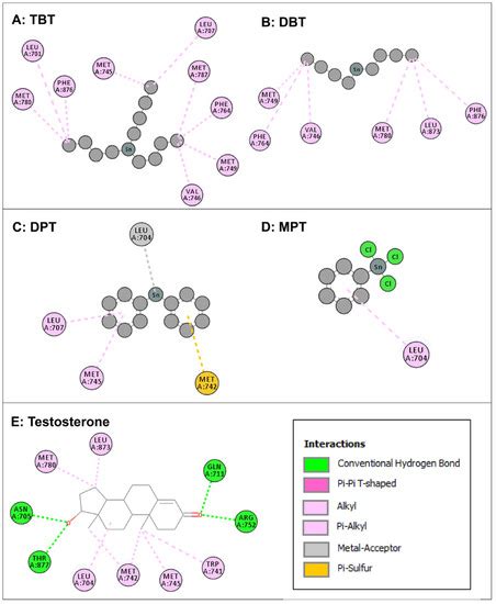 Organotin Antifouling Compounds And Sex Steroid Nuclear Receptor