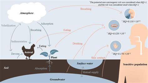 Schematic Diagram Of Human Mercury Exposure Pathways Download Scientific Diagram