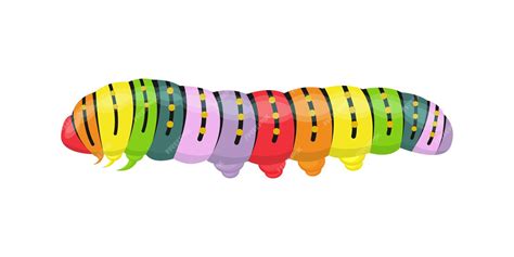 파란색 노란색과 빨간색의 밝은 여러 가지 빛깔의 애벌레 곤충은 흰색 배경에 고립 된 농업 해충 벡터 일러스트 레이 션 프리미엄 벡터