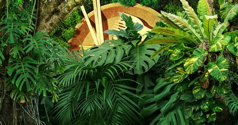 With Reusable Container Programs Foodservice Operators Find Both Successes And Snags