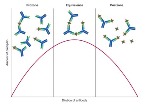 Unit 2 Exam Flashcards Quizlet