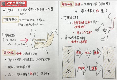 体温の調節について：講義グラレコ紹介 口腔保健学科 体温｜マナビ研究室
