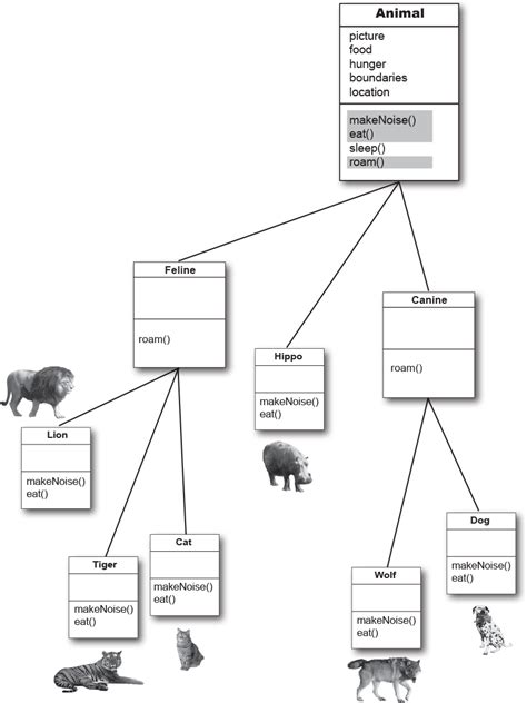 8 Serious Polymorphism Interfaces And Abstract Classes Head First Java 3rd Edition Book