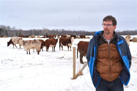 Creating More Fuel Efficient Cattle In Nappan Gallery Pni Atlantic News