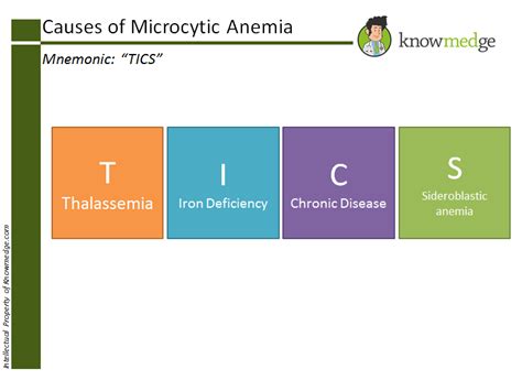 Medical Mnemonics Causes Of Microcytic Anemia “tics” Usmle Internal Medicine Abim Board
