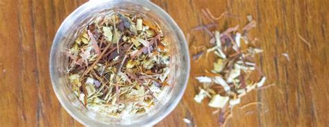10 Extraordinary Herbs For Lyme Disease